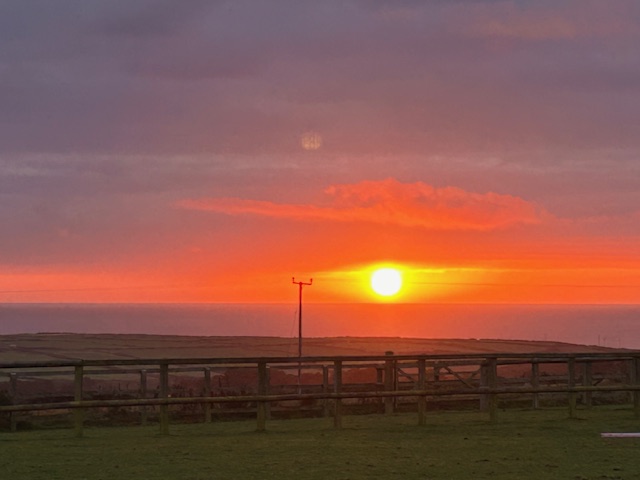 Newlyn School of Art